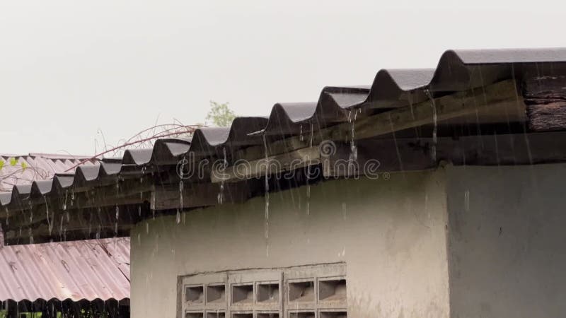 Rain Storm with Metal Sheet Roof, Rainwater Flows Down the Roof Stock ...