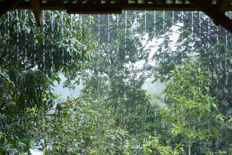 Rain stream stock image. Image of beauty, falling, natural - 44603235