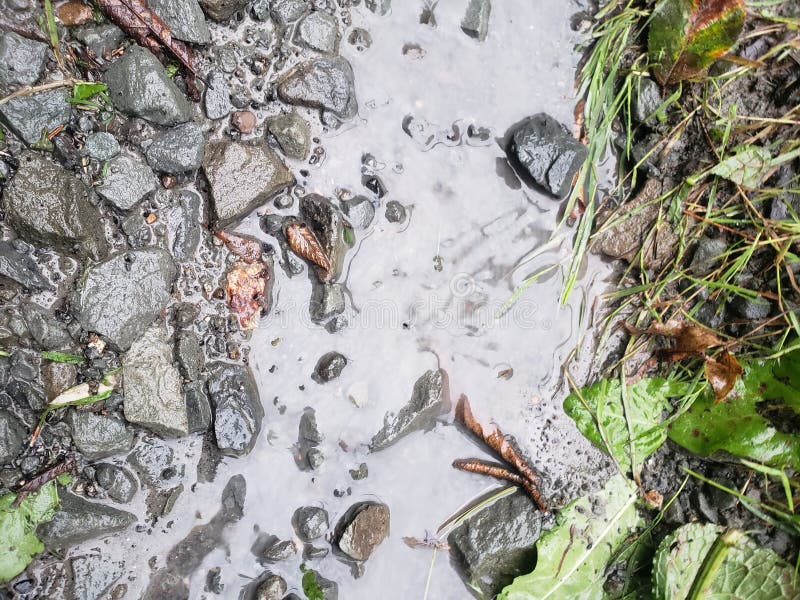 After rain stream stock photo. Image of stream, water - 156347814