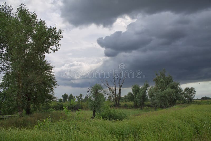 Before a rain stock image. Image of field, scope, greens - 49482089
