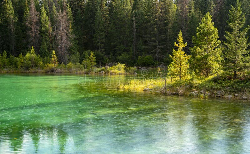 Rain and Sun in Lake in Forest at Sunset. Stock Image - Image of ...