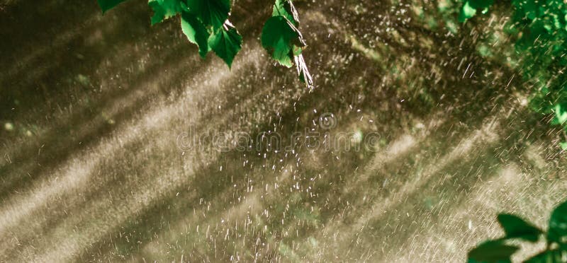 Rain through Sunshine Background Stock Image - Image of pouring ...