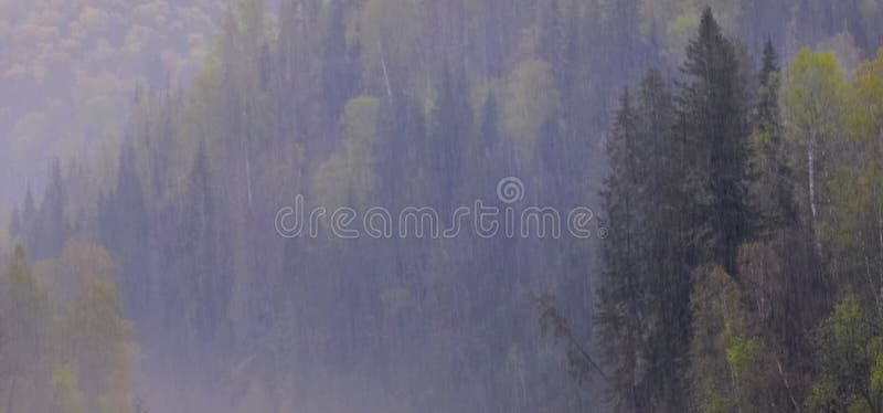 Rain in the Taiga Over the River. Cloudy Weather in Forest Stock Photo ...