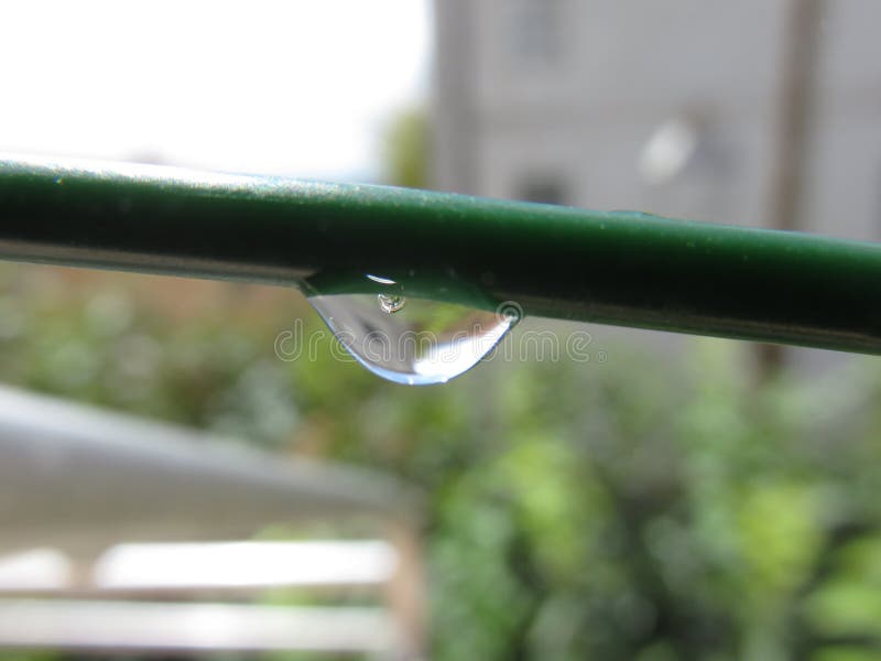 Gocce di rugiada stock photo. Image of drops, leaves - 135280148