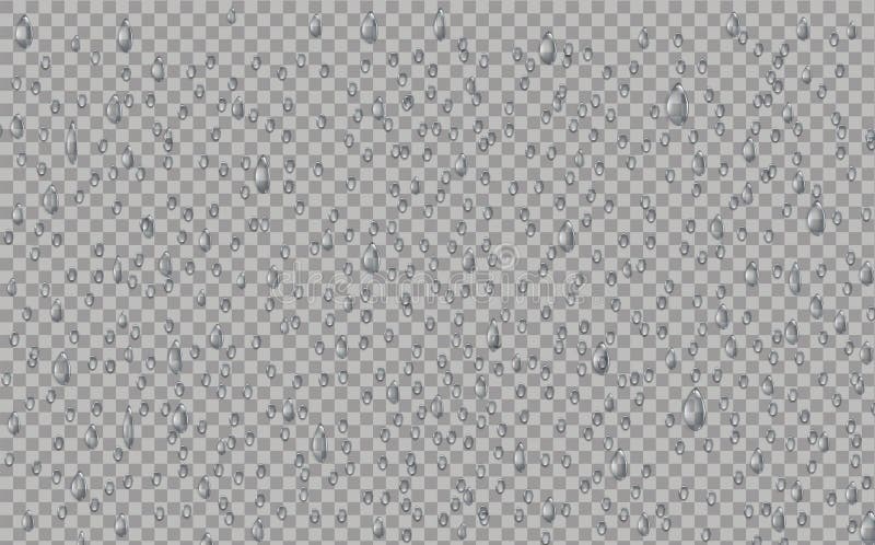 Rain Transparent Drops Flow Down the Glass.Realistic Wet Condensation ...