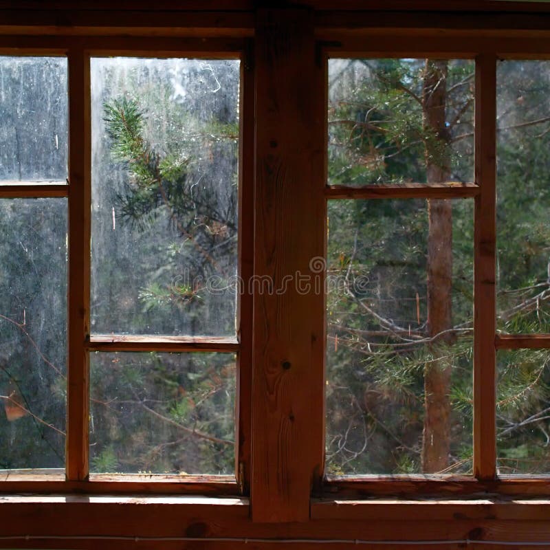 Rain and Trees Behind a Window Stock Photo - Image of glass, wooden ...
