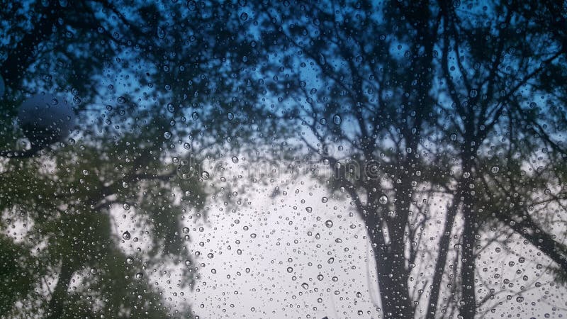Rain stock image. Image of trees, rain, summer, green - 94718517
