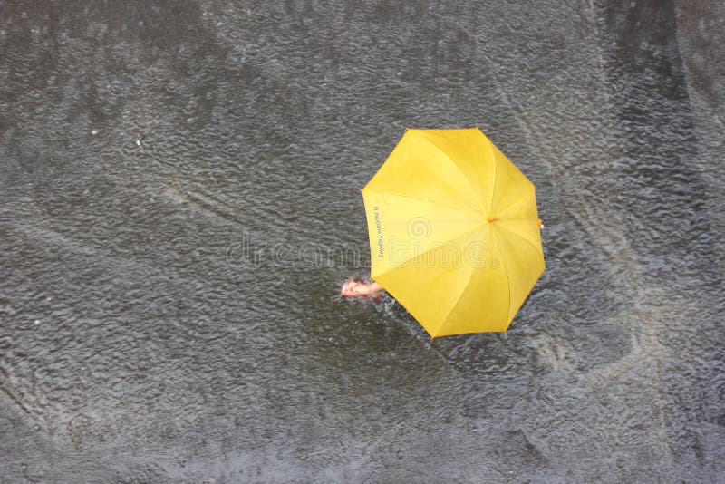 In the Rain Under an Umbrella Stock Image - Image of road, season: 72309947