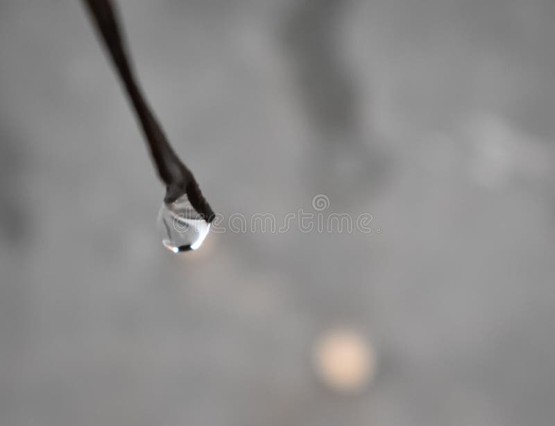 Rain water drop stock photo. Image of close, liquid - 191212678