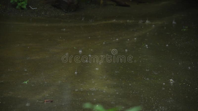 Rain Water Drop Falling in Soil Land in Slow Motion Stock Footage ...