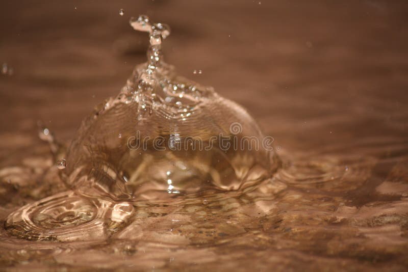 Perfect Rain water drops stock photo. Image of looking - 117046508