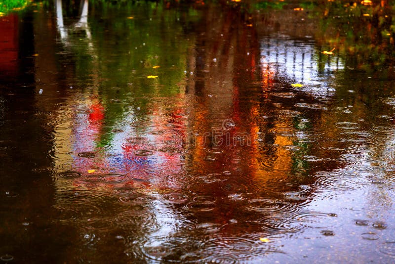 Rain Water Falling into Puddle, Nice Reflection of Tree and Leaf in ...