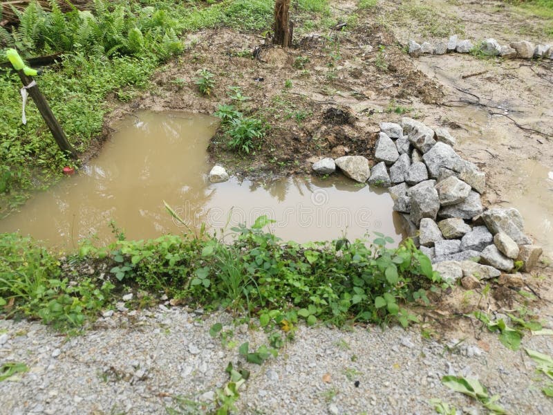The Rain Water Flooded the Farm Concrete Cylindrical Drain Stock Image ... The Rain Water Flooded the Farm Concrete Cylindrical Drain Stock Image ...