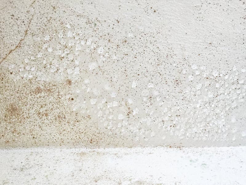 Rain Water Leaks on the Ceiling Causing Damage Stock Image - Image of ...