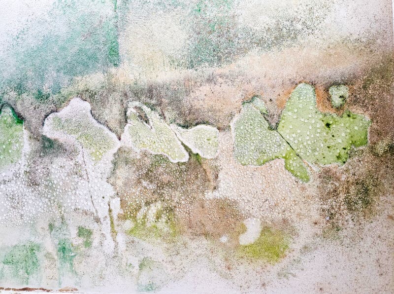 Rain Water Leaks on the Ceiling Causing Damage. Stock Photo - Image of ...