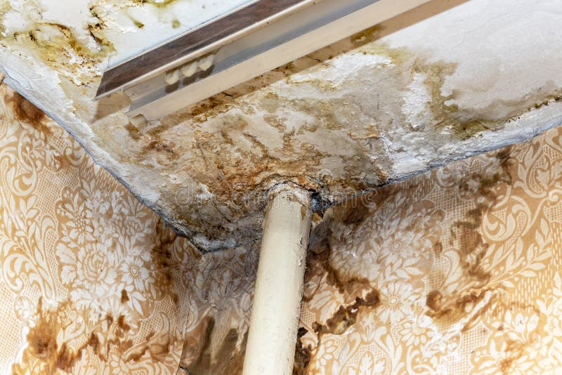 Rain Water Leaks on the Ceiling because of Damaged Roof Causing Decay ...