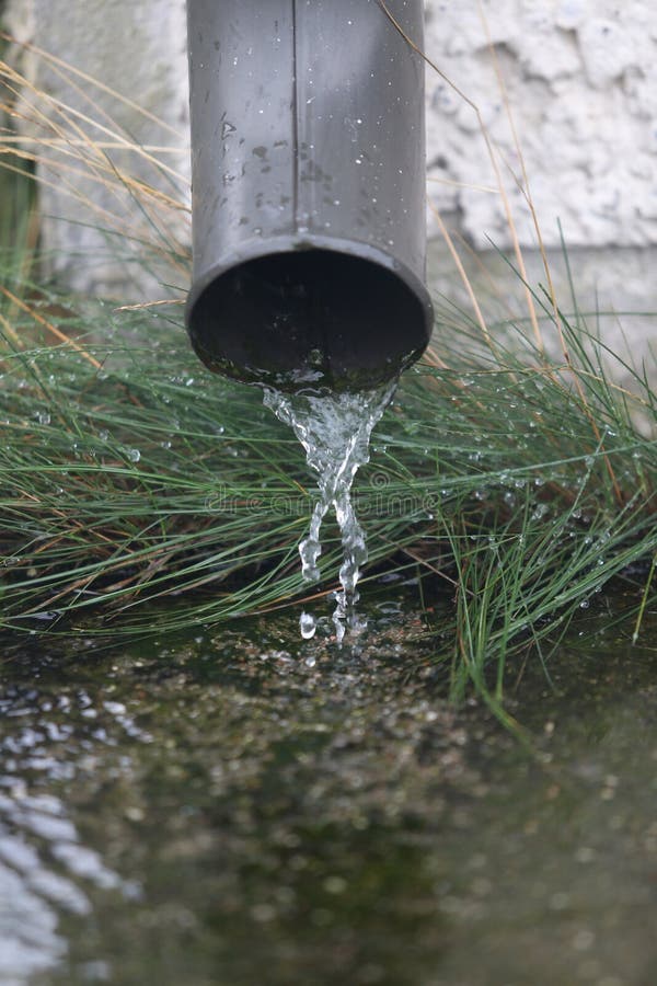 Rain Water is Pouring from the Green Draining Gutter on the Pavement ...