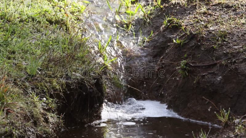 Rain Water Runoff in Grass and Mud Makes Small Waterfall Stream Stock ...