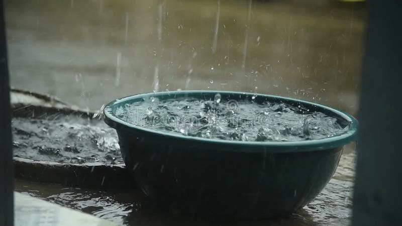 Rain Water Storage in Plastic Drum Stock Video - Video of nature, rural ...