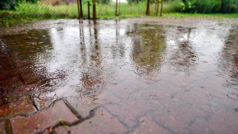 Drops of Heavy Rain on Sidewalk Surface. Stock Photo - Image of close ...