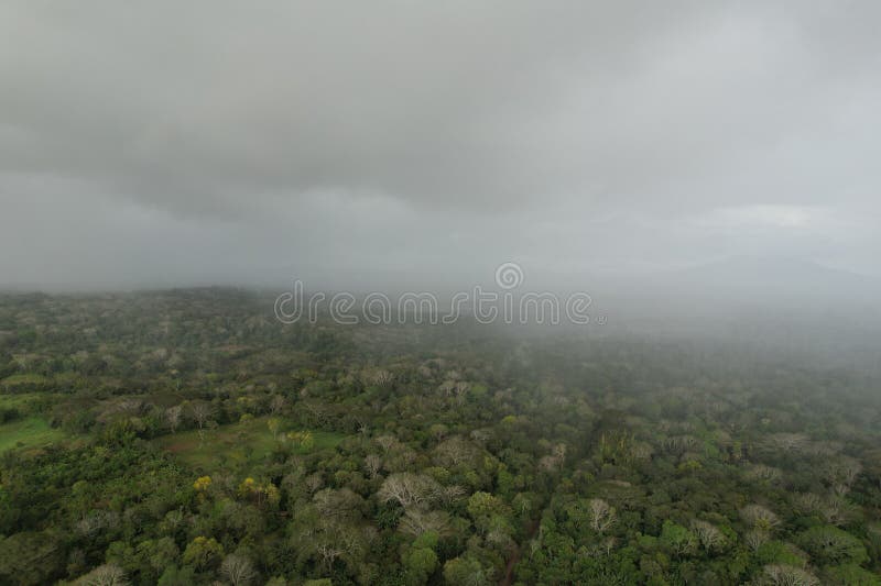 Rain weather theme stock photo. Image of nature, mountain - 274993296