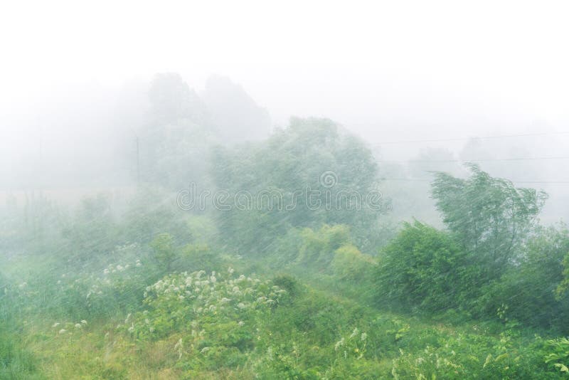 Rain and Wind Outside, Bad Weather, Storm Stock Image - Image of misty ...