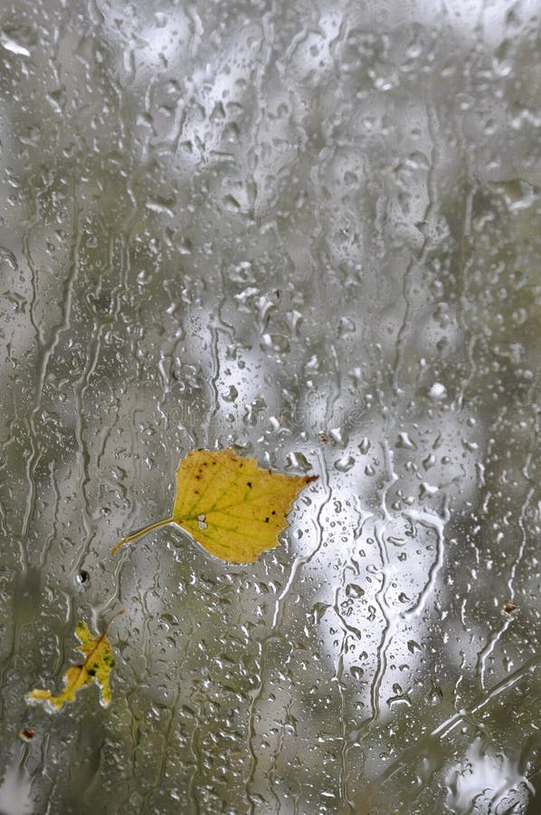 Rain on the window. stock image. Image of weather, view - 80962629