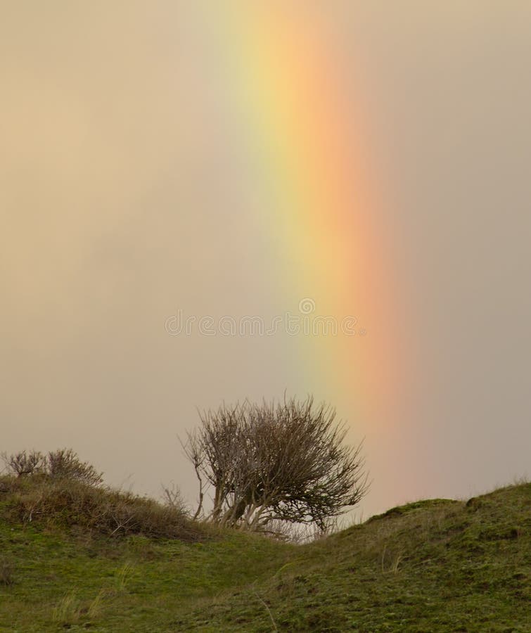 Rainbow above dunes stock image. Image of rainbow, autumn - 263991919