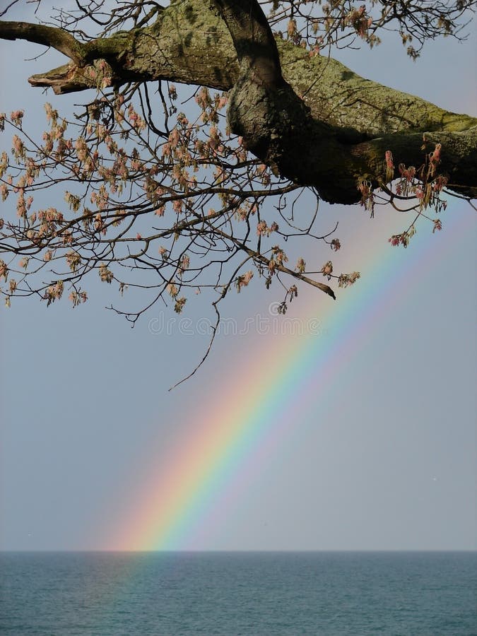 Rainbow Above Lake Michigan Stock Image - Image of tree, water: 17346117