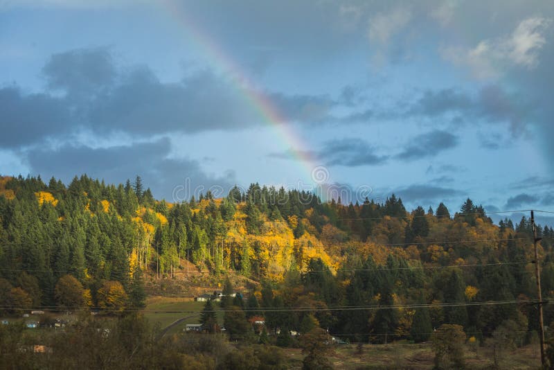 Rainbow Over Fall Trees stock photo. Image of clean - 101970246
