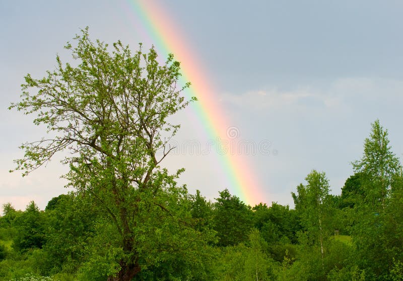 Rainbow Against a Blue Sky after Rain Stock Image - Image of color ...