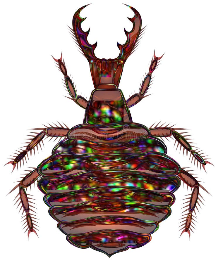 Rainbow antlion larva stock illustration. Illustration of entomology ...