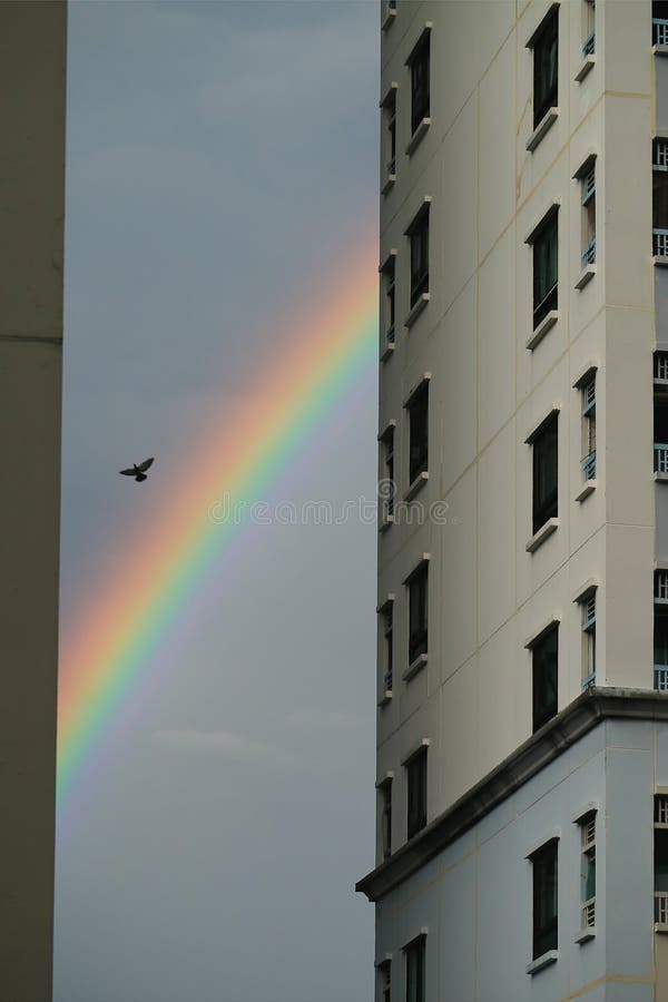 Rainbow Appearing with Flying Bird on Evening Sky between Two Buildings ...