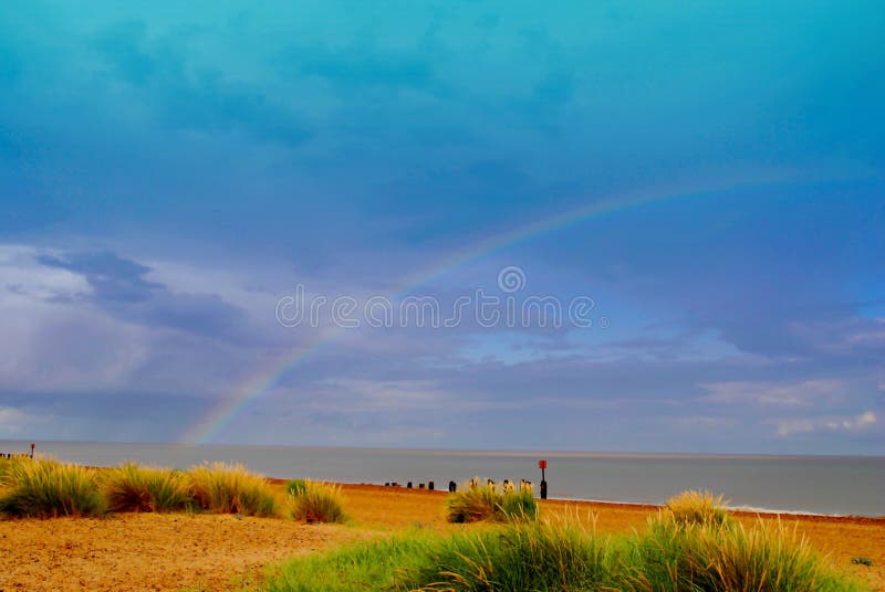 Longg Beach Herald Stock Photos - Free & Royalty-Free Stock Photos from ...