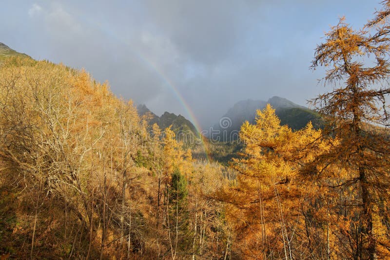 Rainbow and Autumn Colors of the Forest Stock Image - Image of view ...