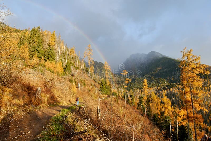Rainbow and Autumn Colors of the Forest Stock Photo - Image of weather ...