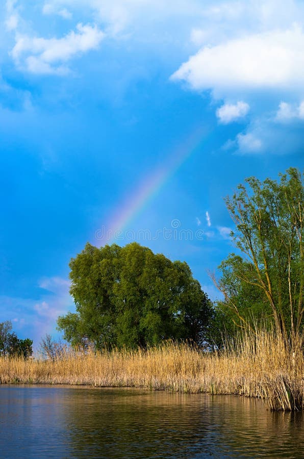 Rainbow stock photo. Image of green, grass, cloud, sunlight - 54476594