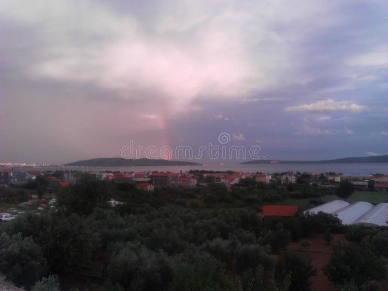 Split Rainbow Heart: Reflections on Challenges and Resilience in the ...