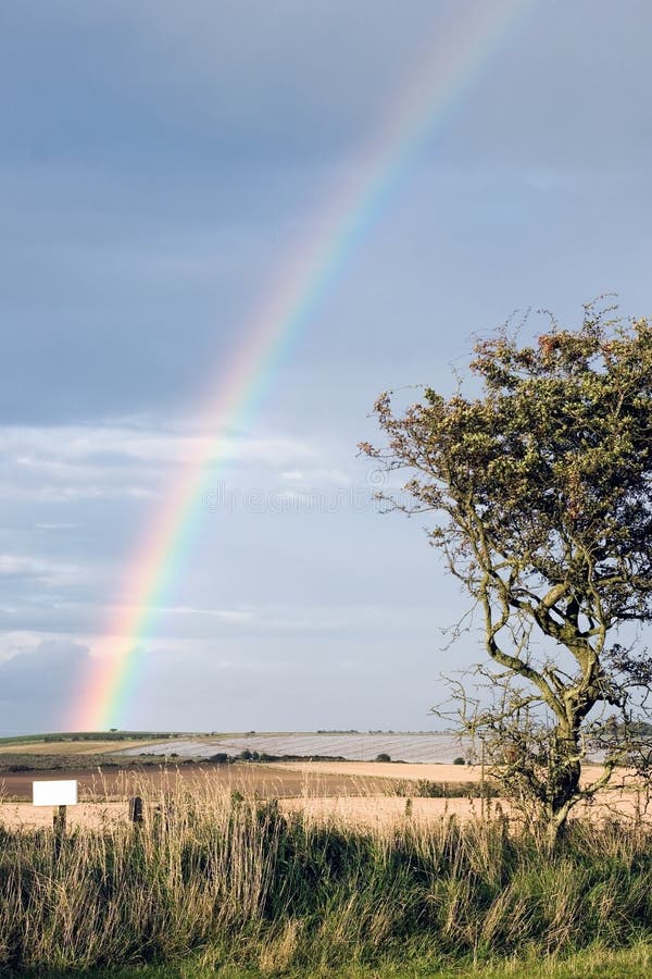 Rainbow with Blank Sign at the End Stock Photo - Image of environment ...