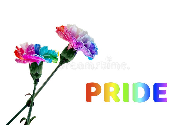 150,496 Pride Background Stock Photos - Free & Royalty-Free Stock Photos from Dreamstime
