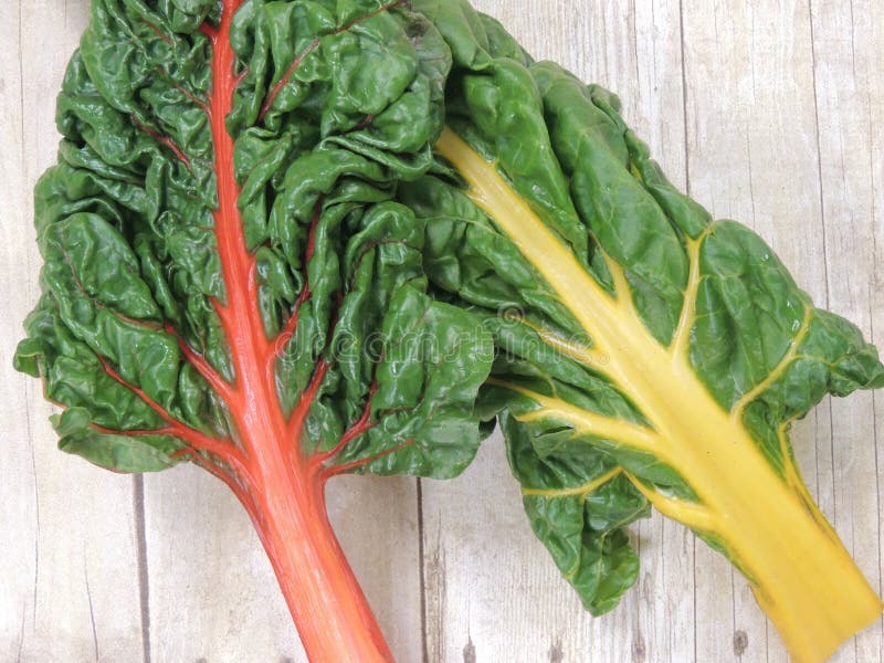 Rainbow Chard_Yellow And Red Stock Photo - Image of rhubarb, chard ...