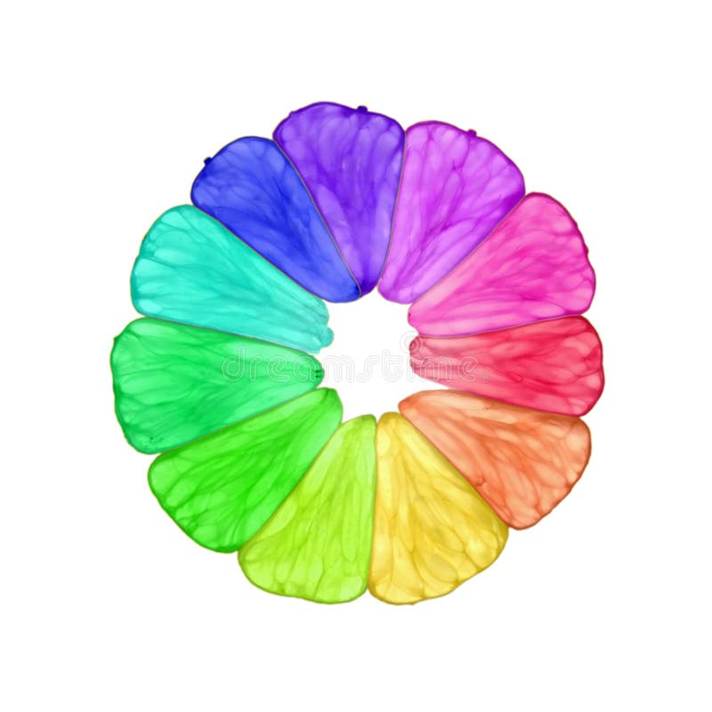 Lemons in rainbow colors stock vector. Illustration of design - 18983007