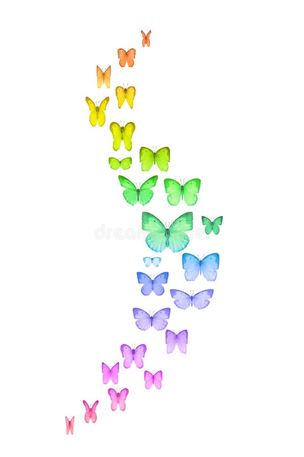 Rainbow Colored Butterflies Stock Image - Image of movement, fauna ...