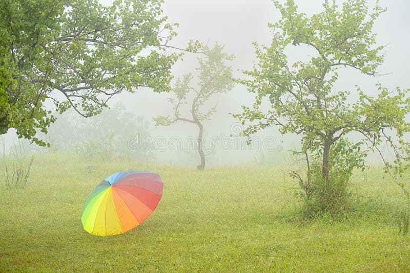A Rainbow-colored Umbrella Relaxing in Nature. Stock Photo - Image of ...