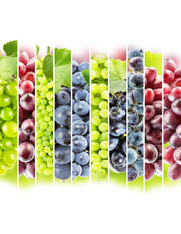 Rainbow Colorful Grapes Stripe Collection on the White Background Stock ...