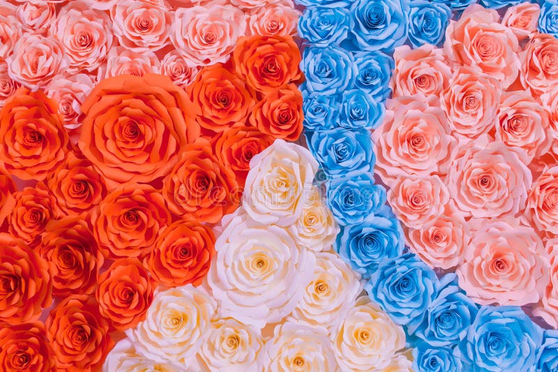 Rainbow Colorful Rose Flower Paper Background Stock Image - Image of ...