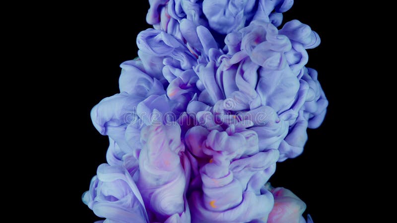 Rainbow of Colors Mixing. Black Background Stock Footage - Video of ...