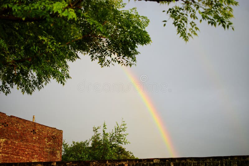 Rainbow Colourful Green Tree Sky Stock Image - Image of rainbow, green ...