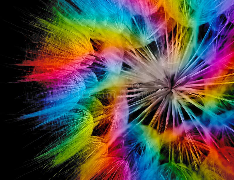 475 Dandelion Rainbow Stock Photos - Free & Royalty-Free Stock Photos ...