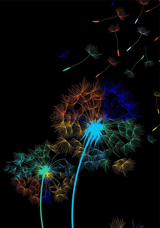 Rainbow Dandelions in the Wind on a Dark Background Stock Vector ...
